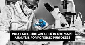 Bite Mark Analysis- A Crucial Forensic Evidence